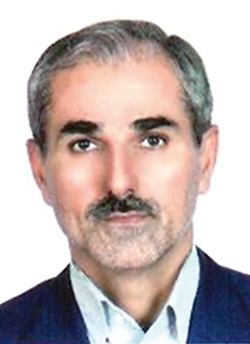 The Petrochemical Chain - The Business Year