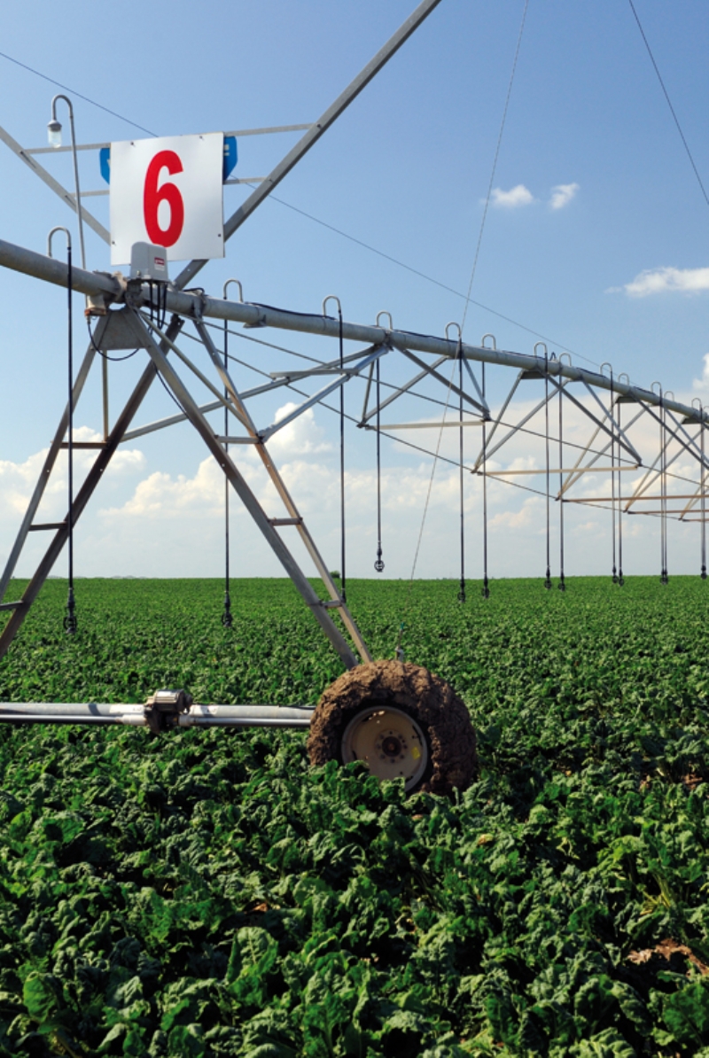 Seeds of Change - The Business Year