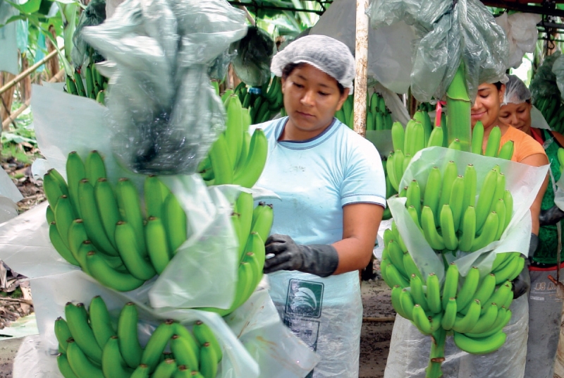 Shelf Service - The Business Year