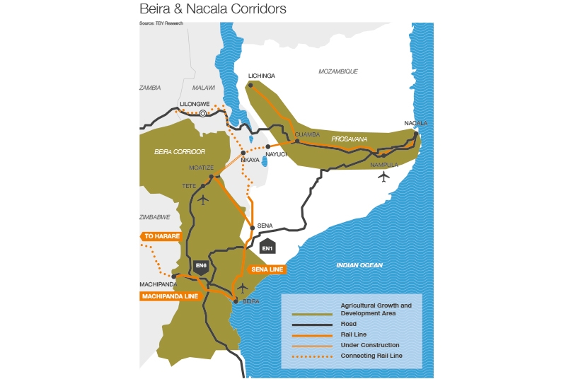 Connected for Growth - The Business Year