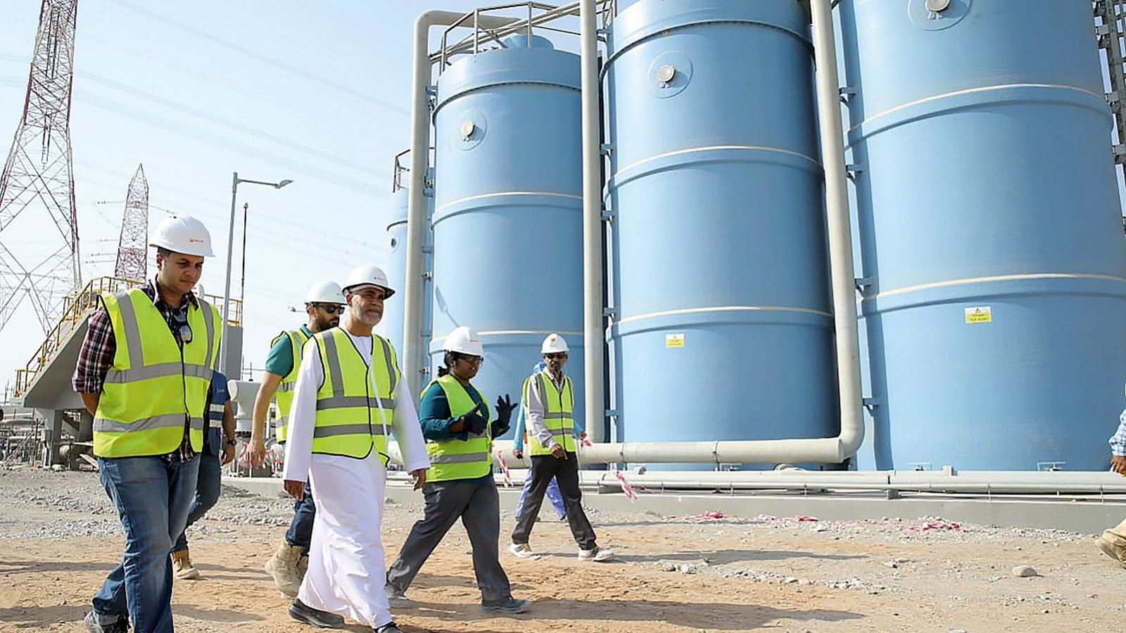 Green Beginnings - The Business Year