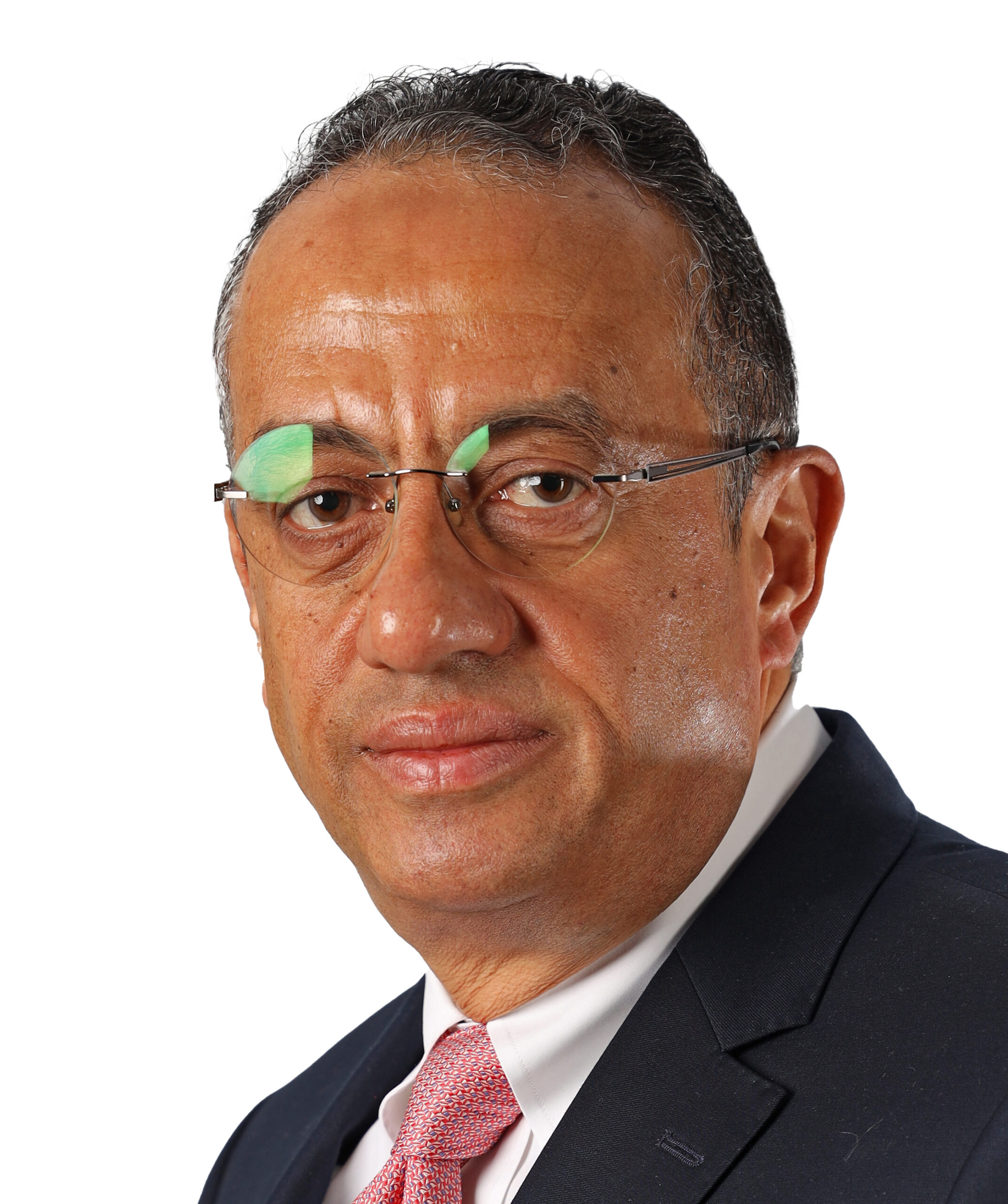 Tarek El Gamal - The Business Year